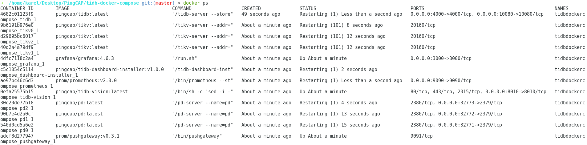 TiDB架构解析及应用 | 一只小小鸟